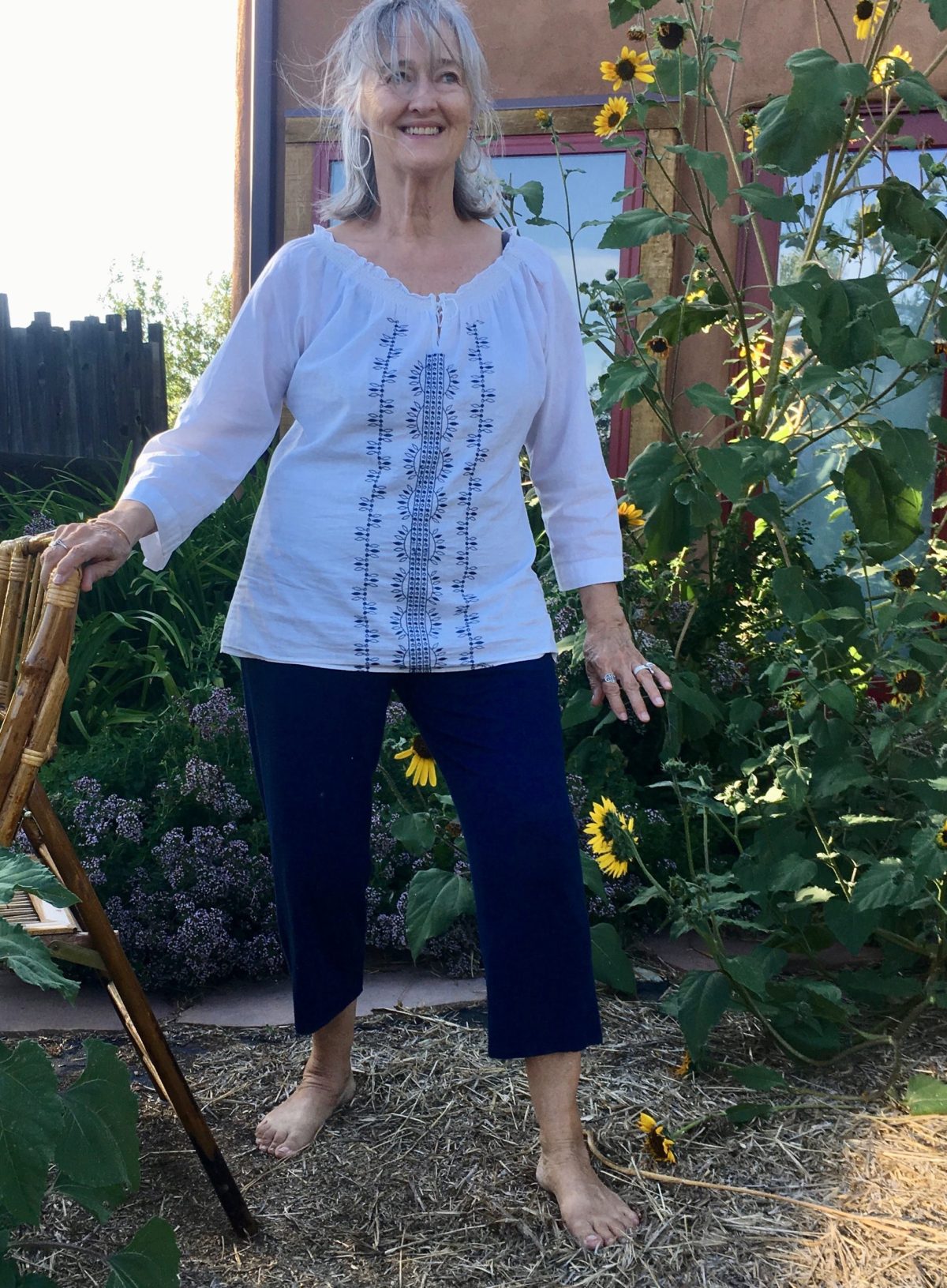 Tai Chi Prime Home Practice Coaching - Tai Chi Health